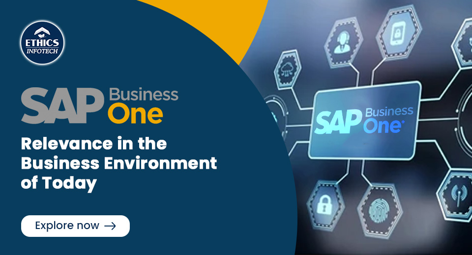 SAP Business One Relevance In The Business Environment Of Today